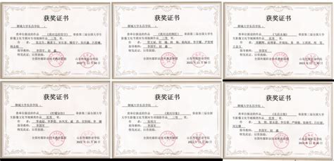 我院学子在第三届全国大学生影像文化节中喜获佳绩 聊城大学东昌学院新闻网