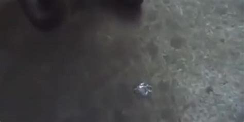 Free Kotono Porn Videos Sex Movies Tnaflix