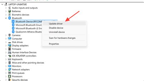 Resolve The Type Initializer For Threw An Exception Error On