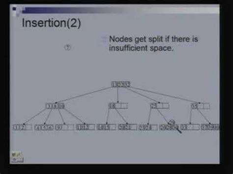 Lecture Trees YouTube