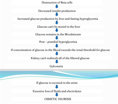 Type 1 Diabetes Mellitus Flashcards Quizlet