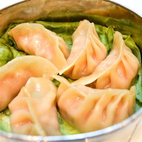 1 Steamed Or Fried Dumplings 6 Pan Acean Noodle Grills Stir Fry