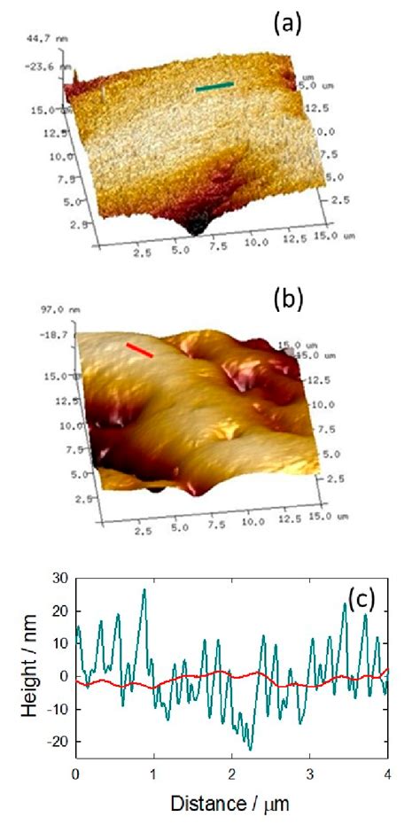 Afm Topographic Image 15μm × 15μm Of A Ti Surface And B Paag Ti