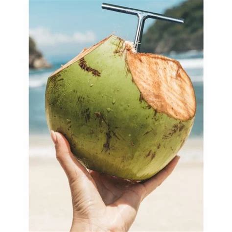 Food Grade Stainless Steel Manual Tender Coconut Opener At Best Price