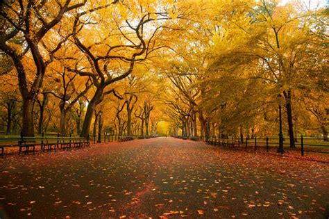 50 Bellos Lugares De Estados Unidos Viajes