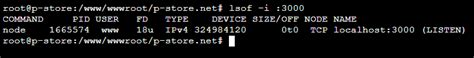 Cant Start Node Js Website Aapanel Free Hosting Control Panel One