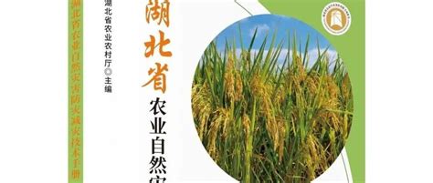 指导防灾减灾发展现代农业，助力乡村振兴保护农民增收——《湖北省农业自然灾害防灾减灾技术手册》正式出版自然环境普查抗灾
