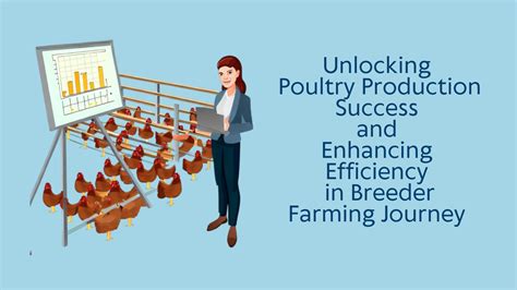 Unveiling The Path To Enhanced Poultry Production Through Breeder