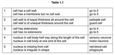 Igcse Biology 0610 62 Leaf Structure Igcse Style Questions Paper 4