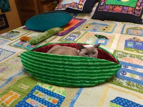 Catnip Mouse Toy The Cat Ball