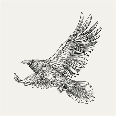 손으로 그린 까마귀 비행 그림 일러스트레이션 무료 벡터