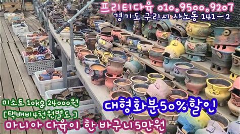 뿌리내림에 탁월한 다육이 분갈이 전용토 💕분갈이 다시 할 때 그 진가를 알아보는 미소토 10kg 24000원 택배비별도 미소토