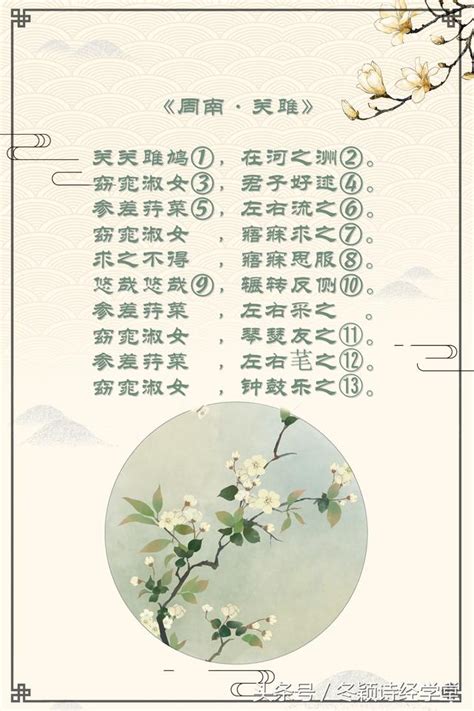 周末讀詩經冬穎老師朗讀周南關雎 每日頭條