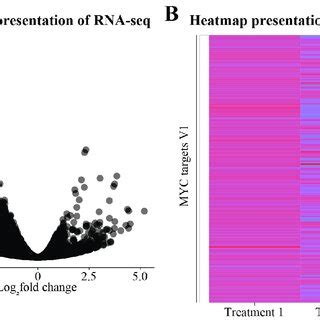 Presenting RNA Seq Data Using R Refer To The Supplementary Document To Download Scientific