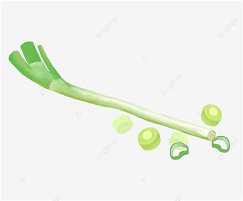 흰 양파 일러스트 패턴 파 얇게 썬 파 일 용품 Png 일러스트 및 Psd 이미지 무료 다운로드 Pngtree