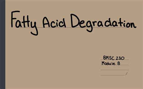 BMSC 230 Module 8 Notes Online Course Bmsc 230 3 Fatty Acid