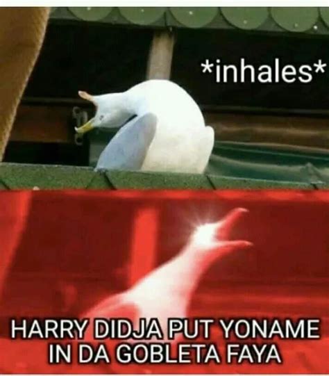 Dumbledore Asked Calmly Did You Put Your Name In The Goblet Of Fire