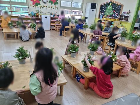 시흥 금천 광교 안산 한들유치원 크리스마스 트리 키즈플라워 원예수업 네이버 블로그