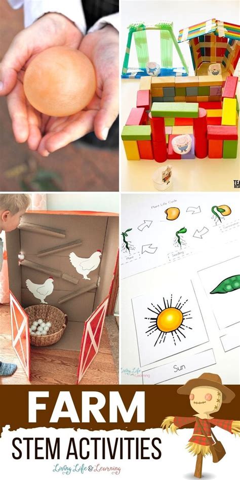 Free Farm Preschool Lesson Plans Artofit