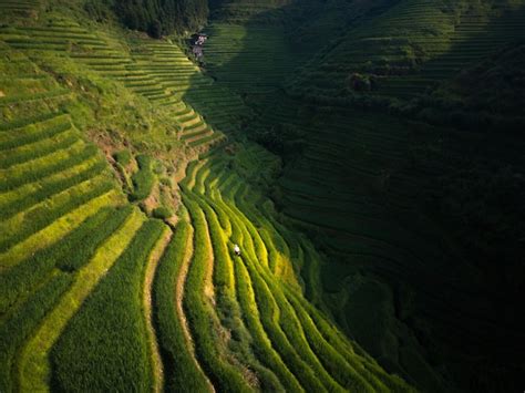 Longsheng Imagens Download Grátis No Freepik