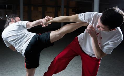 Lhistoire Du Kung Fu Ses Caractéristiques Objectifs Et Sous Styles