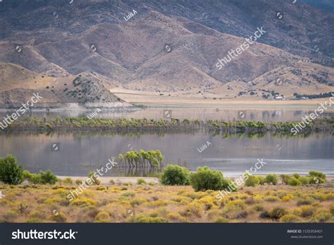 Willows California Over 802 Royalty Free Licensable Stock Photos