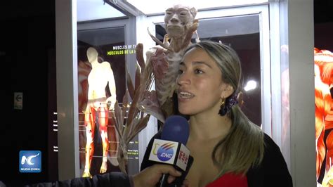 Llega Exposición Bodies Cuerpos Humanos Reales A Colombia Youtube