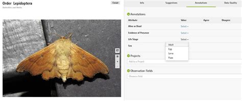 cursor up down moves two steps in annotations bug reports