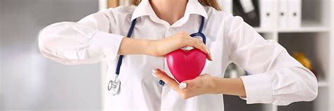 In Cardiology Cardiologist Holding A Small Red Heart Photo Background