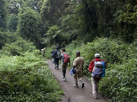 Day Trip To Arusha National Park Malaika Travel