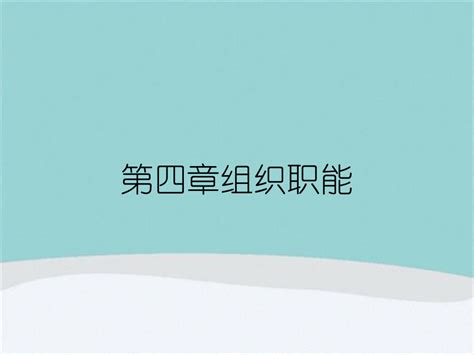 第四章组织职能word文档在线阅读与下载无忧文档