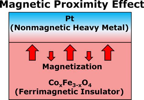 Intrinsic Magnetic Proximity Effect At The Atomically Sharp Interface