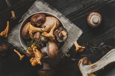 How To Store Mushrooms To Maximize Their Freshness 2022 Masterclass