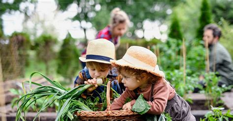 농장에서 정원을 가꾸고 유기농 채소를 재배하는 어린 아이들과 함께 행복한 가족 사진 Unsplash의 정원 이미지