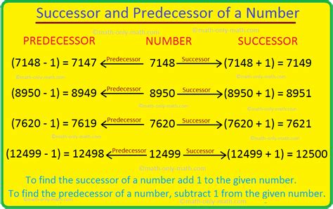 Successor And Predecessor Successor Of A Whole Number Predecessor