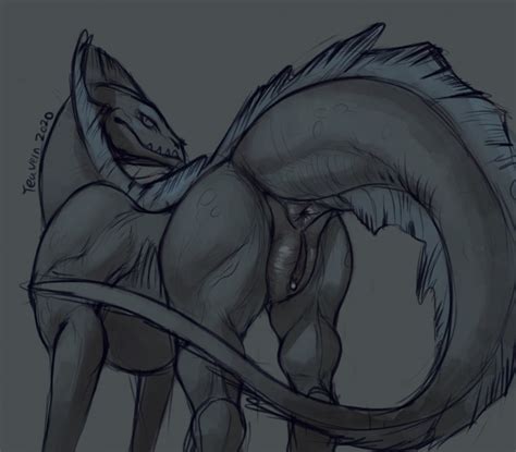 Rule 34 2020 Anus Aquatic Dragon Ass Blue Membrane Clitoris
