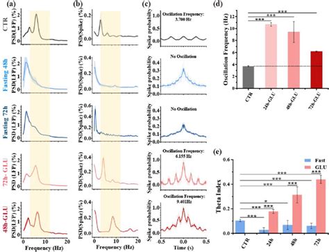 Theta Oscillation And Rhythm Analysis Of The Lfps And Spike In Gi