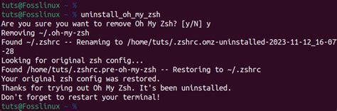 Guide To Installing And Customizing Oh My Zsh On Ubuntu