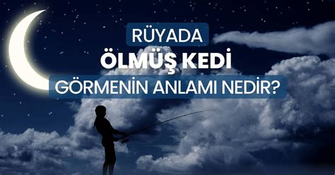 Rüyada ölmüş kedi görmek ne anlama gelir Rüyada ölmüş kedi görmenin