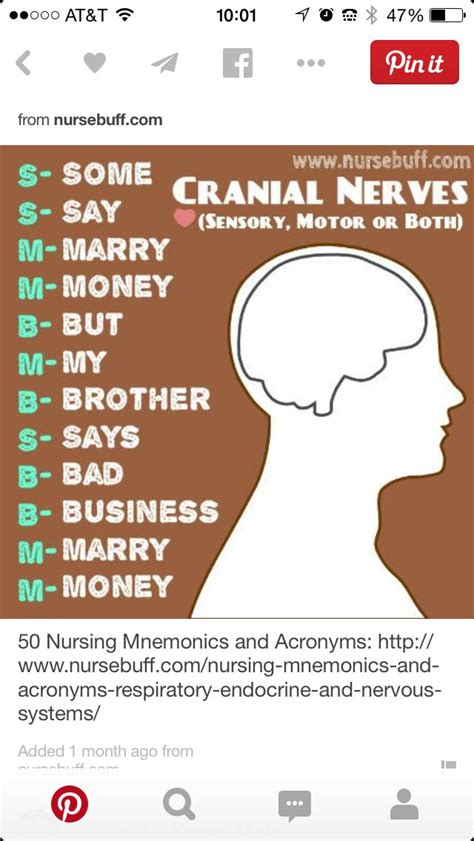 Pin By Shakir Hendrix On Biology Lessons Nursing Mnemonics Mnemonics