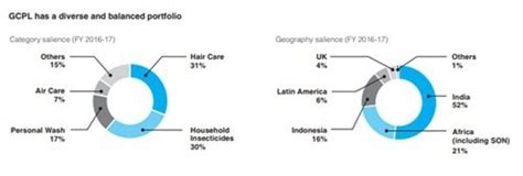Marketing Strategy Of Godrej Godrej Marketing Strategy