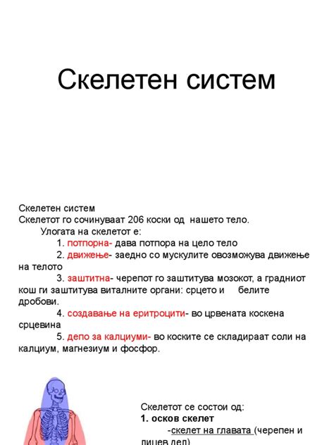 11 Час Скелетен Систем Pdf