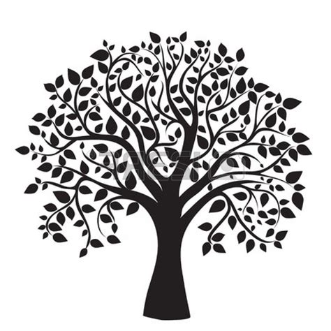 Tree Of Life Vector At Vectorified Collection Of Tree Of Life