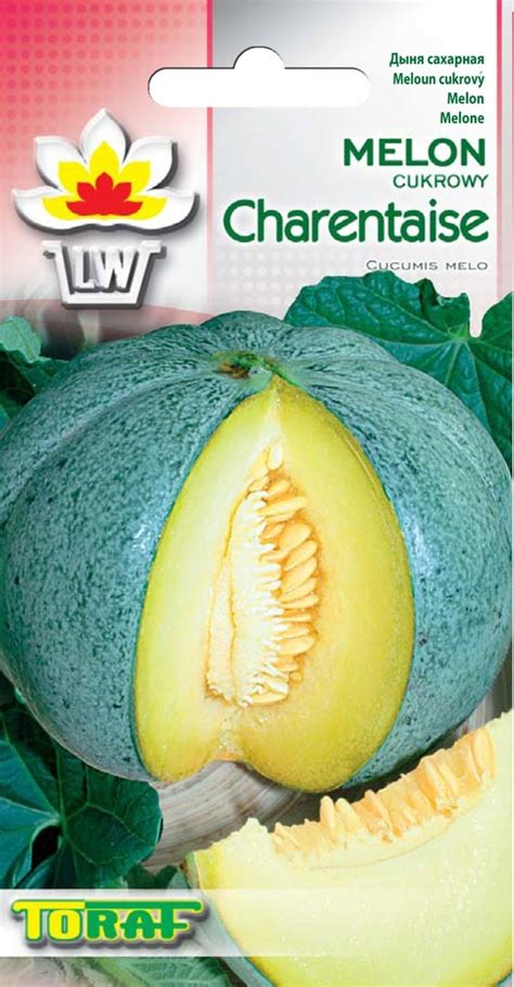 Melon cukrowy Charentaise słodki nasiona g Toraf oficjalne archiwum Allegro