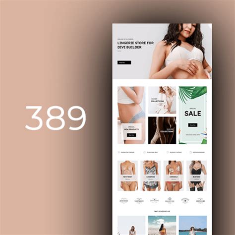 Limitless Possibilities With Divi E Commerce Layouts