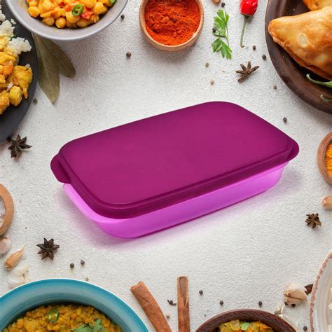 2453 Unbreakable Divine Leak Proof Plastic Lunch Box — Deodap