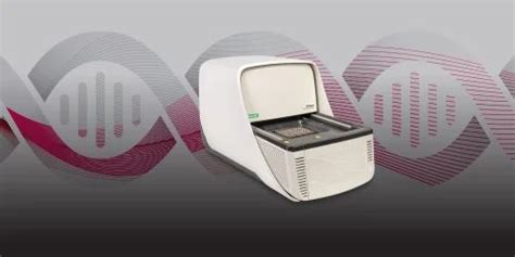 Bio Rad Cfx Duet Real Time Pcr System 96 Wells At ₹ 1000000 Unit In Srinagar Id 2852650039362