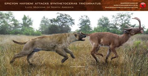Epicyon Haydeni Attacks Synthetoceras Tricornatus By Romanyevseyev