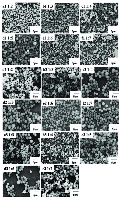 Sem Micrographs Of The Polymeric Particles Prepared By Precipitation