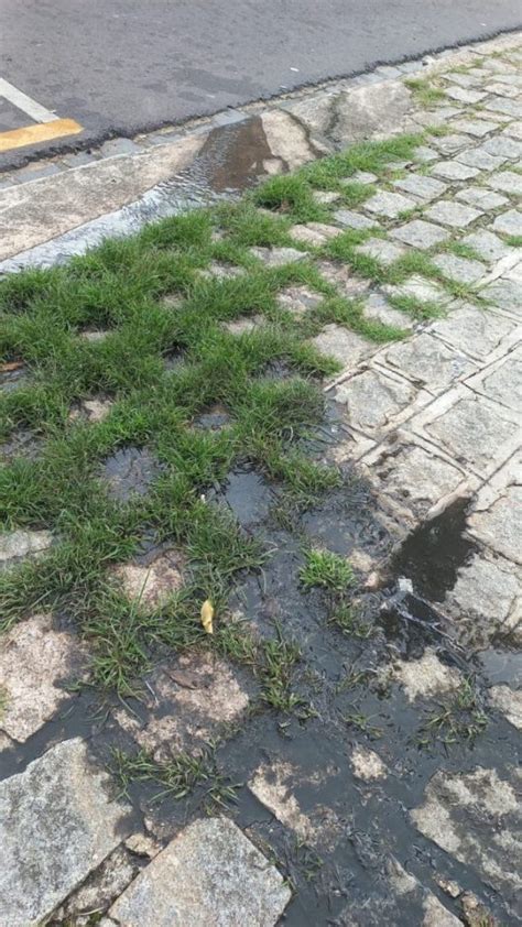 Vazamento de esgoto em calçada causa transtornos em frente de hospital no Bigorrilho